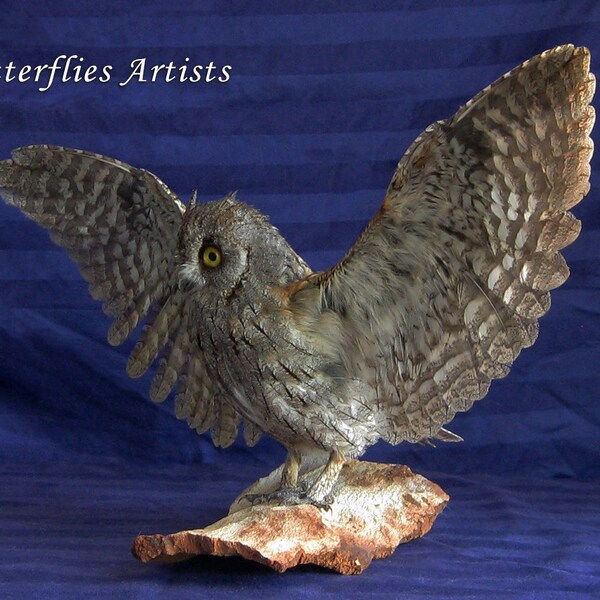 Taxidermy Owl - Etsy