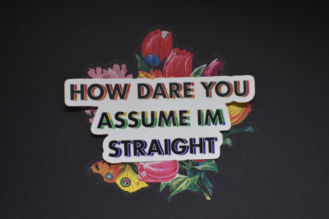 How Dare You Assume I'm Straight Sticker - Etsy