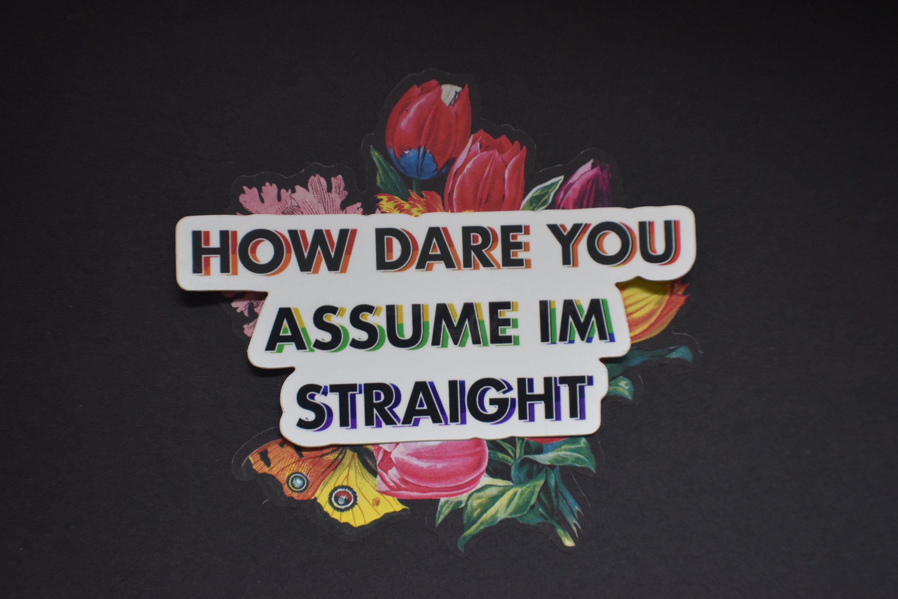 How Dare You Assume I'm Straight Sticker - Etsy