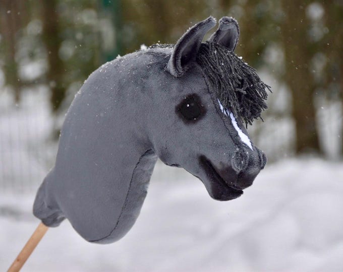Beautiful Grey Hobby Horse With White Marking. Lovely Cute and Cheap ...