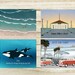 Card# C25, Orca Father's Day Card, Happy Father'sday, Card for Dad ...