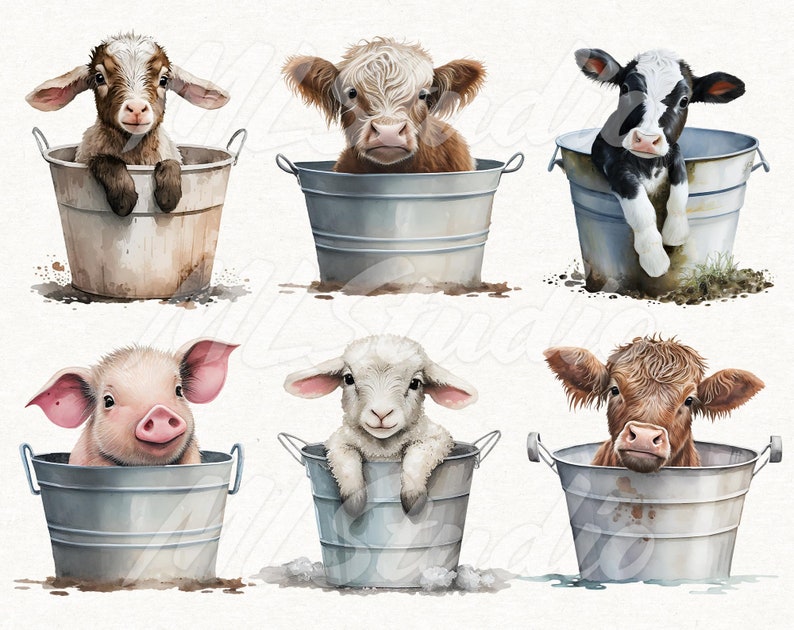 Farm Animals in a Bucket PNG, Pig PNG, Baby Animals Sublimation ...