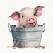 Baby Pig in a Bucket PNG, Pig PNG, Baby Pig Sublimation, Watercolour ...