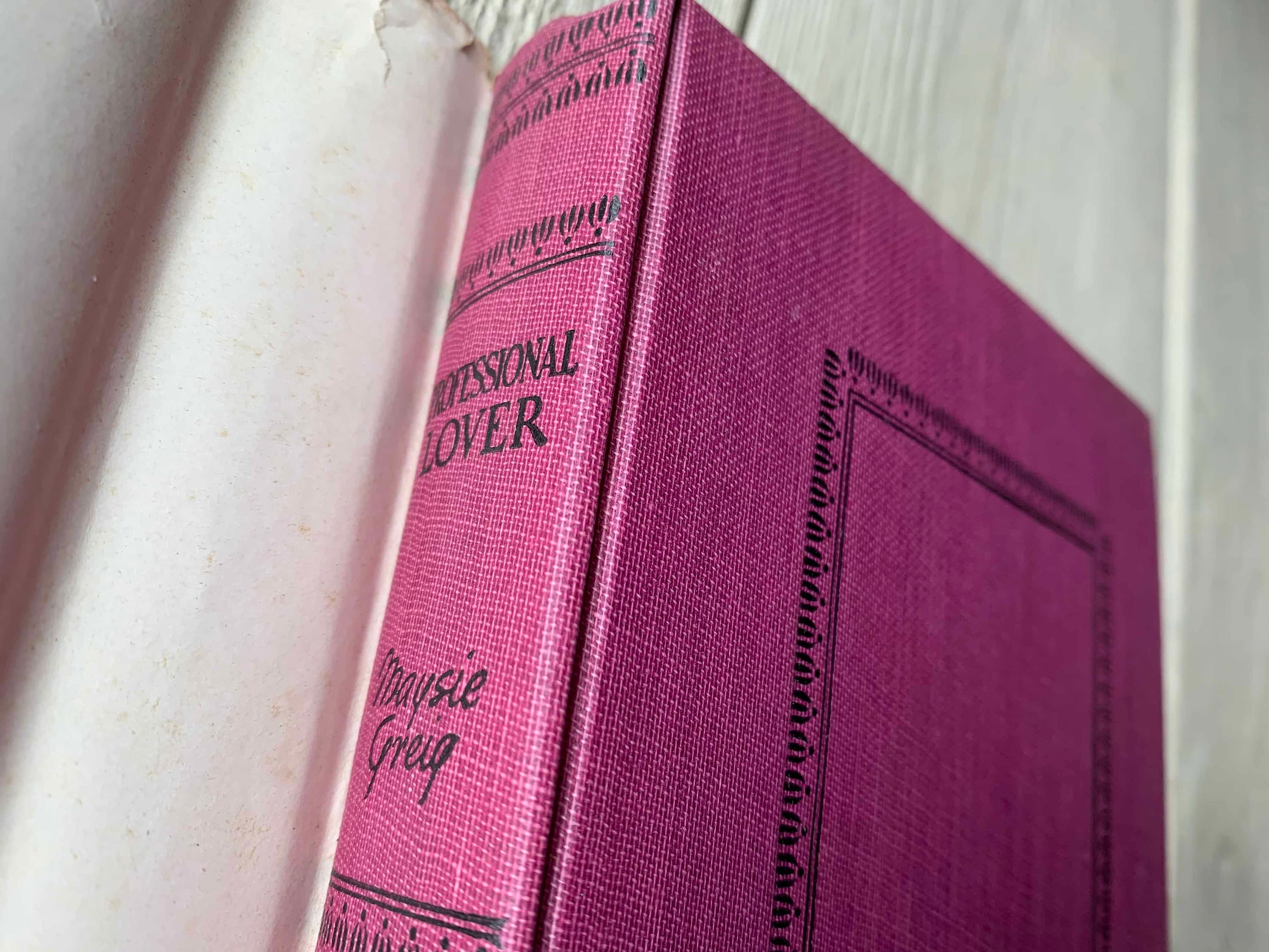Professional Lover A Book by Maysie Greig 1933 With Dust Jacket - Etsy