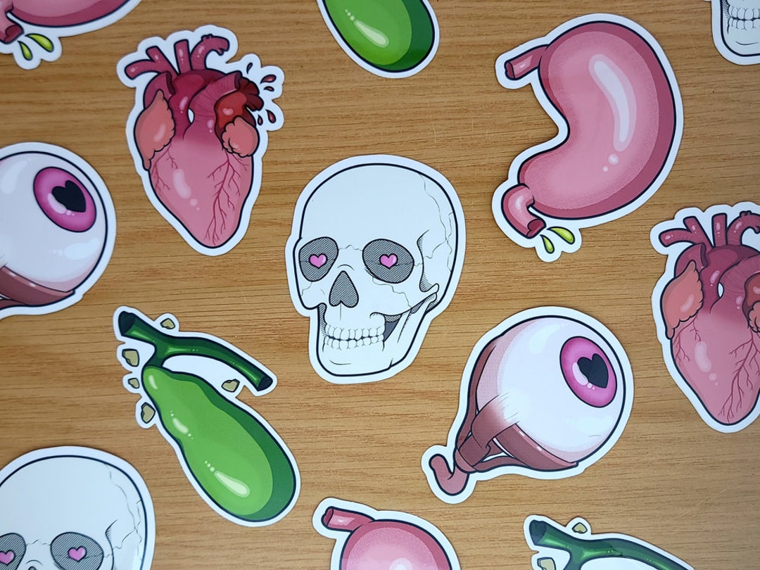 Anatomy Sticker 5 Pack - Etsy
