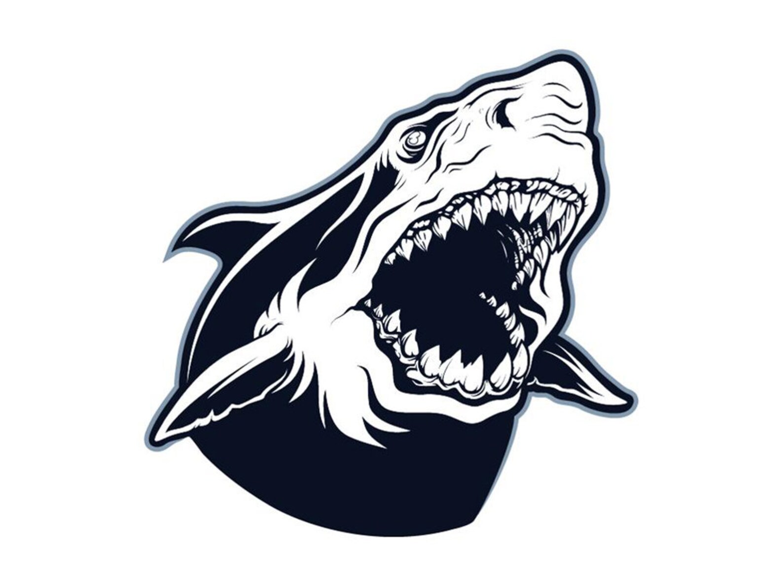 Shark Attack Vector Art - Etsy