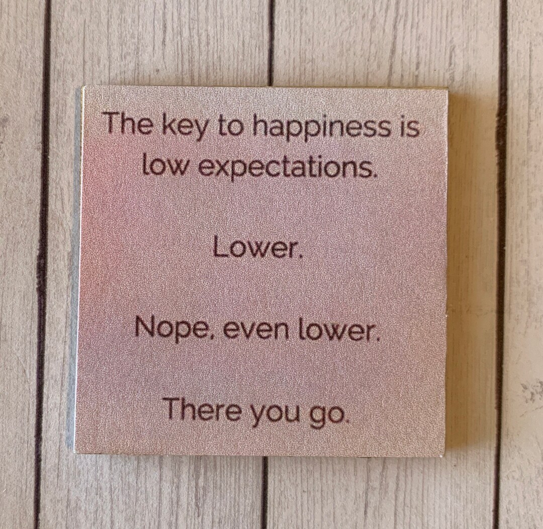 Funny Magnet, Sarcastic Magnet, Magnet, Small Gift 3 X 3 INCHES - Etsy