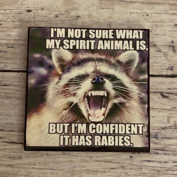 Funny Fridge Magnets - Etsy