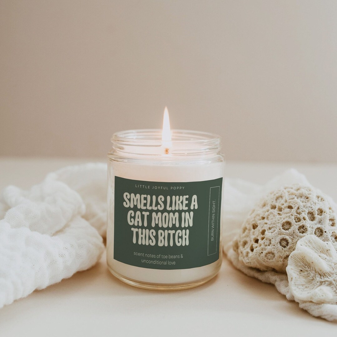 Smells Like a Cat Mom in This Bitch Candle Gift, Funny Cat Candle, Gift ...