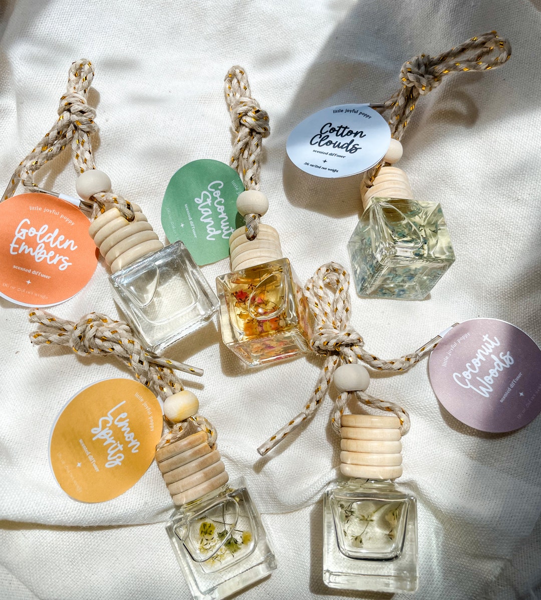 Car Diffuser, Scented Car Air Diffuser, Hanging Air Diffuser for Cars ...