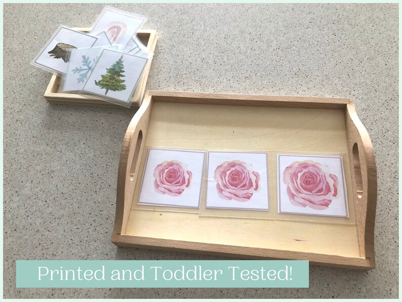 Montessori Size Recognition Cards Nature Themed Size Sorting Cards ...