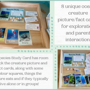 Printable Ocean Unit Study | Ocean Dramatic Play Kit | Homeschool ...