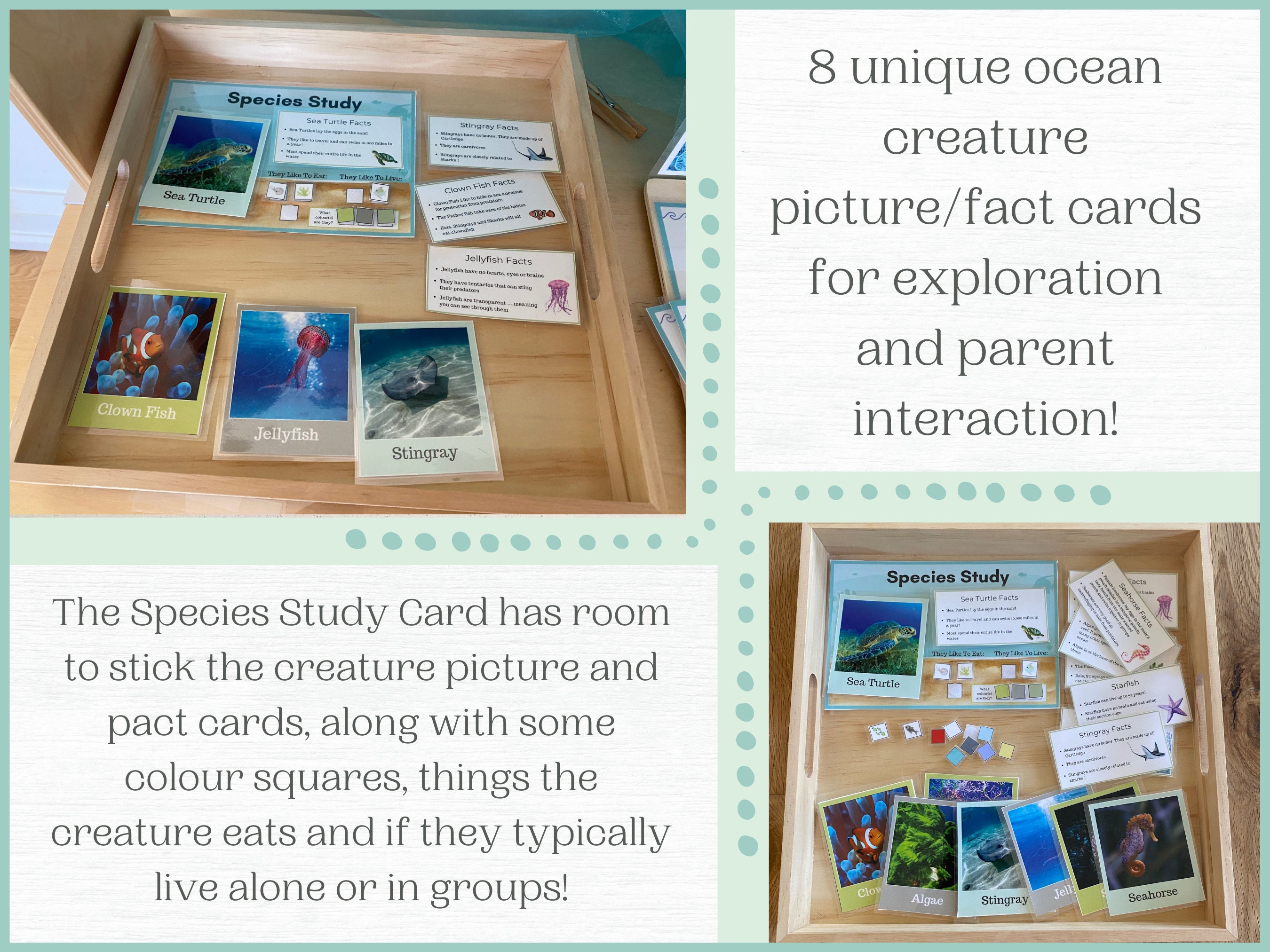 Printable Ocean Unit Study Ocean Dramatic Play Kit Homeschool Preschool ...