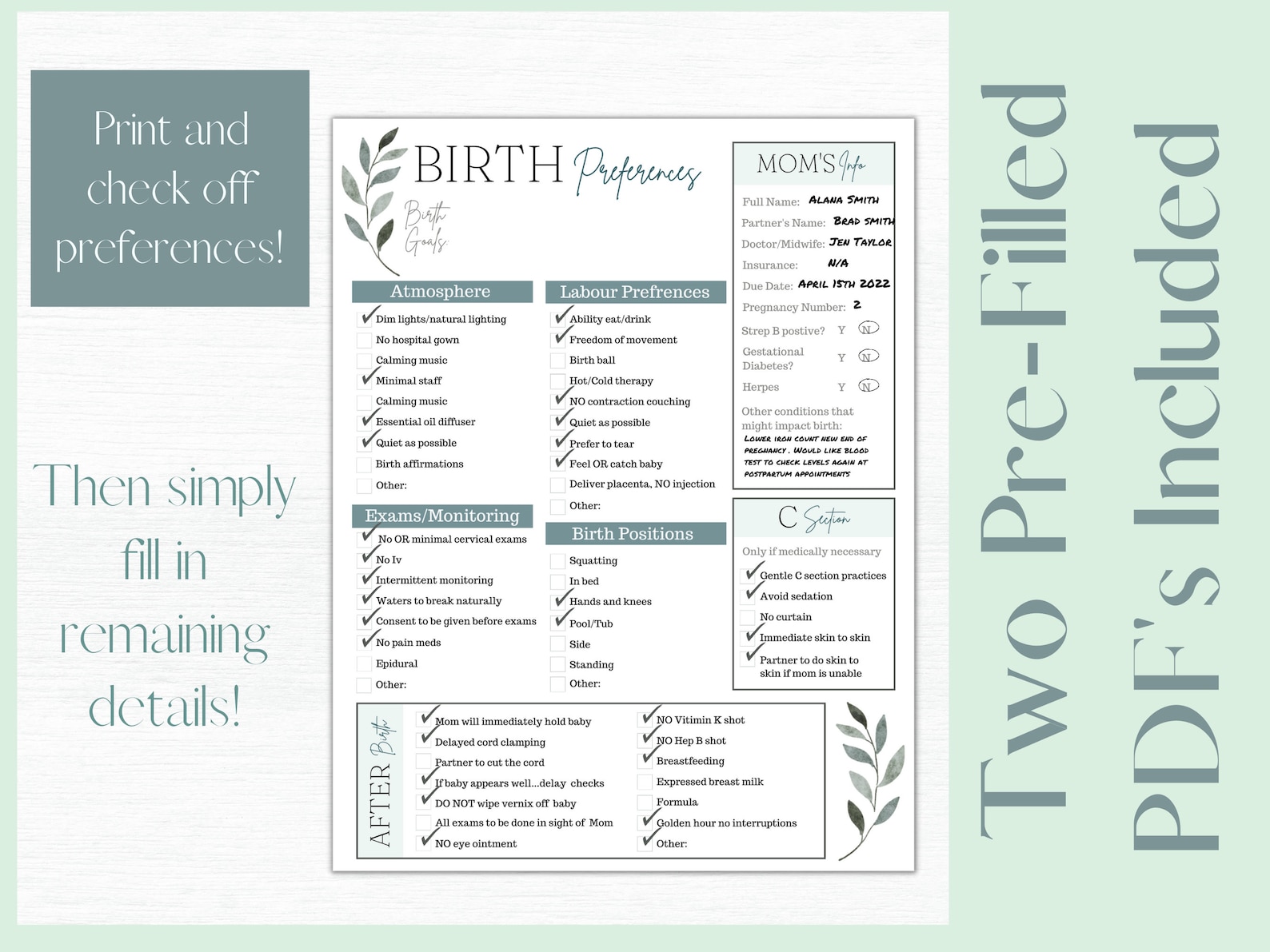 Editable Birth Plan Template |printable Birth Plan Checklist - Etsy