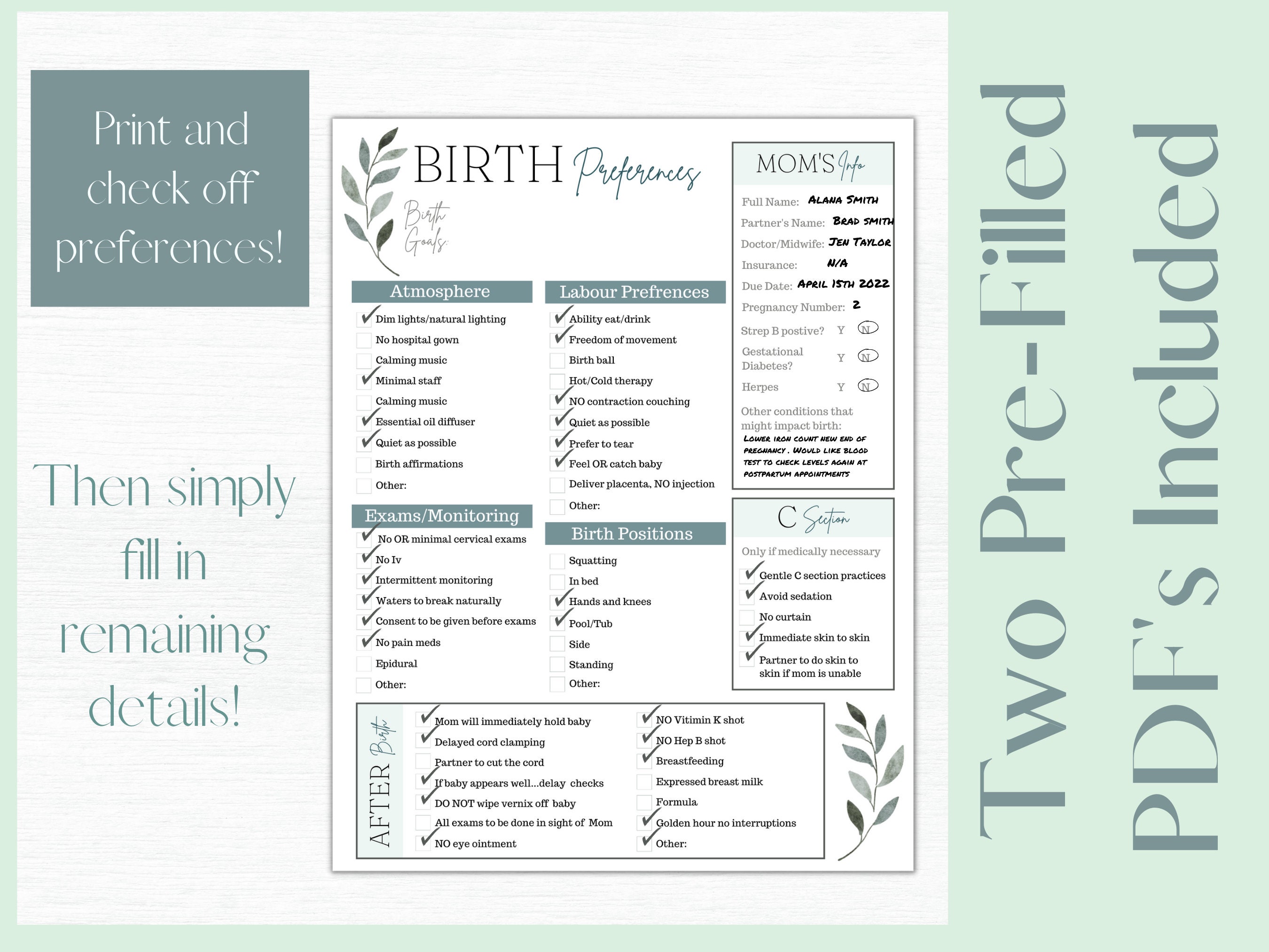 Editable Birth Plan Template |printable Birth Plan Checklist - Etsy
