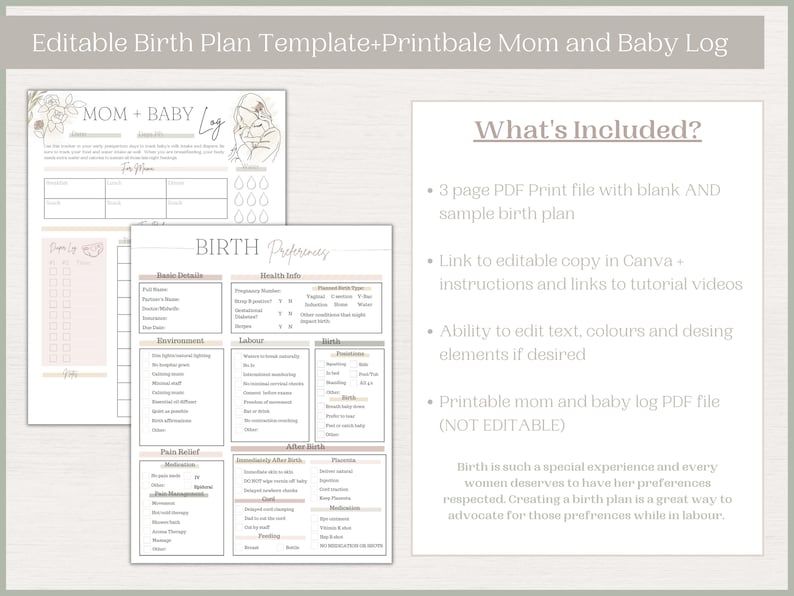 Editable Birth Plan Template and Printable Newborn Log Mini Birth ...