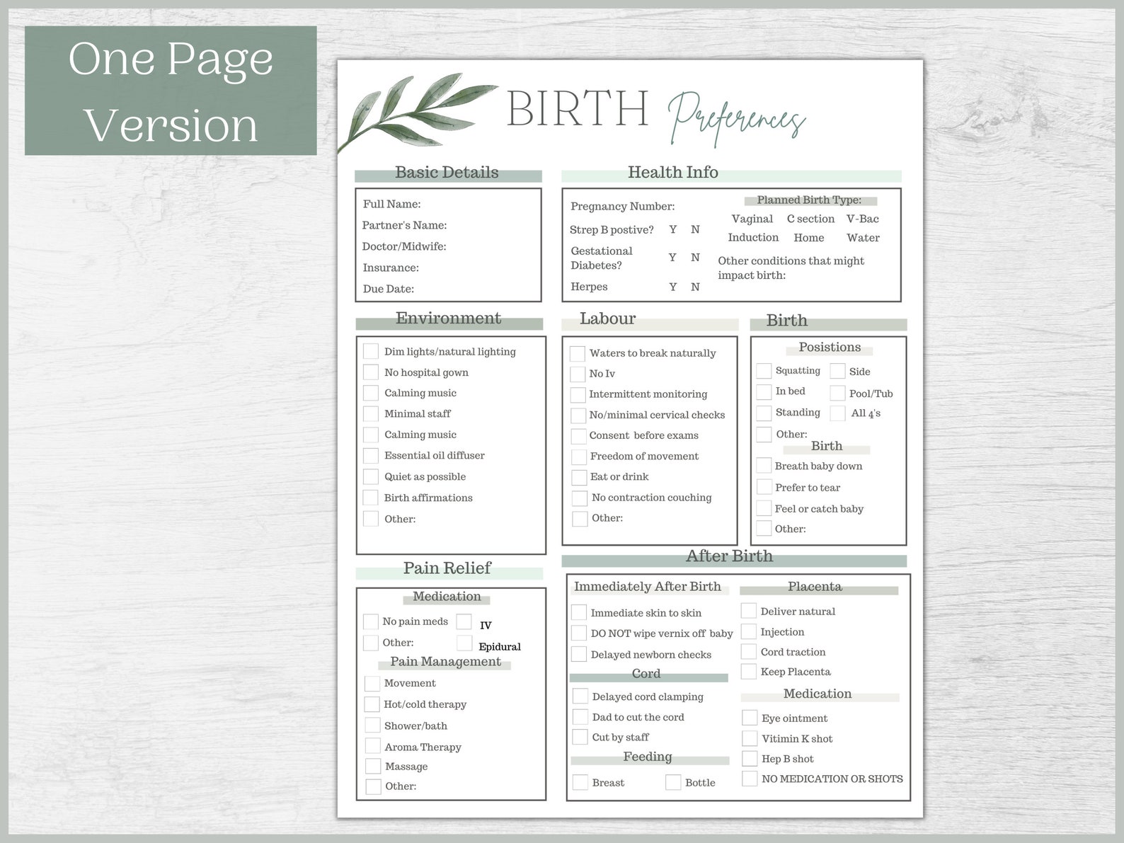 Printable and Editable Birth Plan Template | Neutral Colours Birth Plan ...
