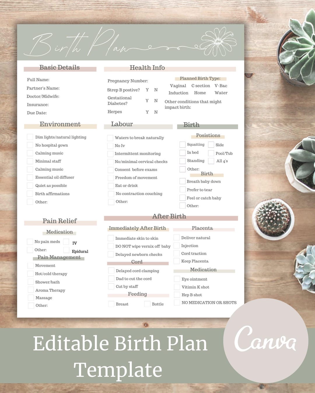 Printable and Editable Birth Plan Template | Neutral Colours Birth Plan ...