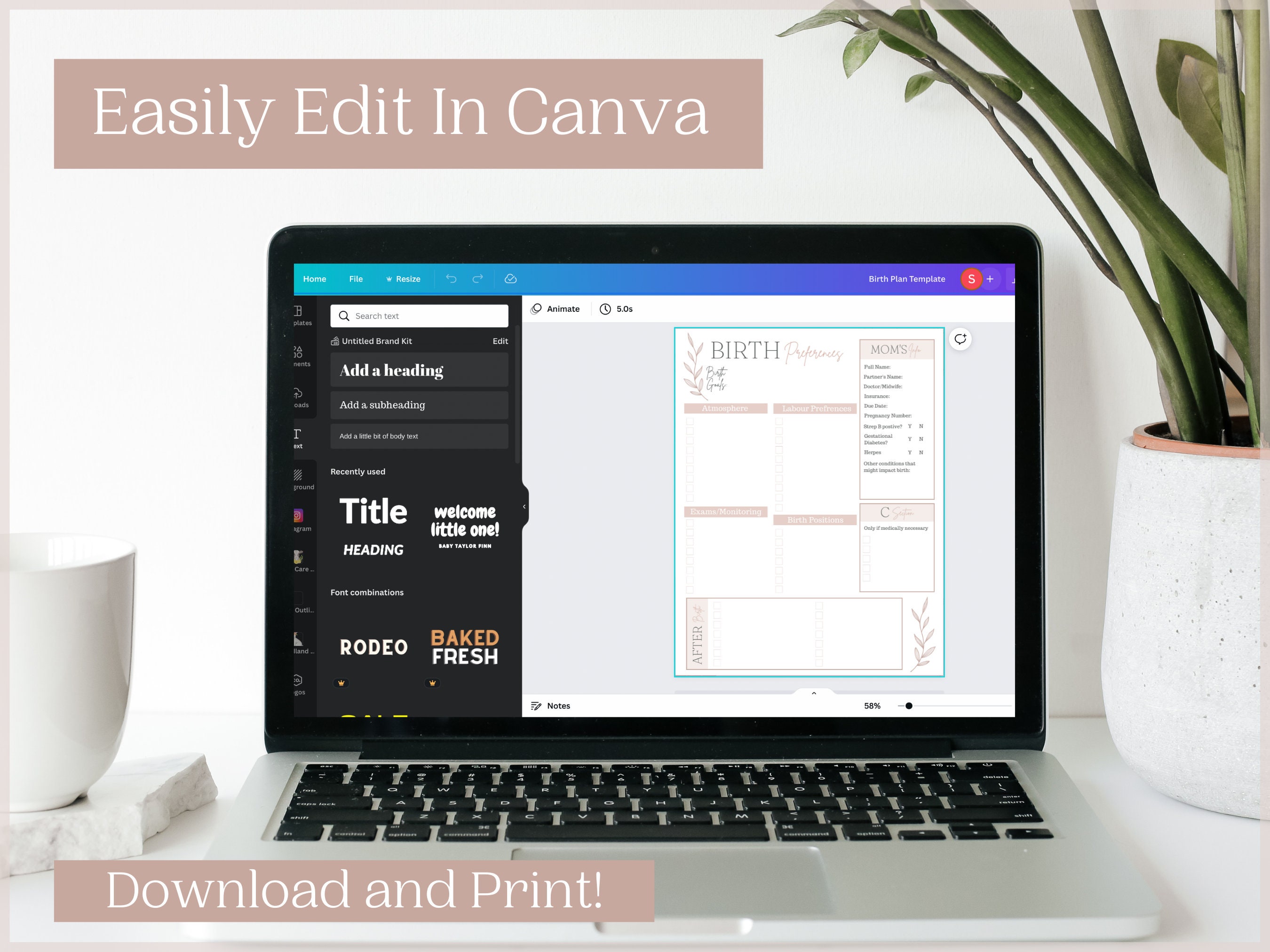 Editable Birth Plan Template |printable Birth Plan Checklist - Etsy