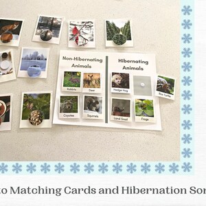 Winter Unit Study Printable Bundle | Montessori Preschool Worksheets ...