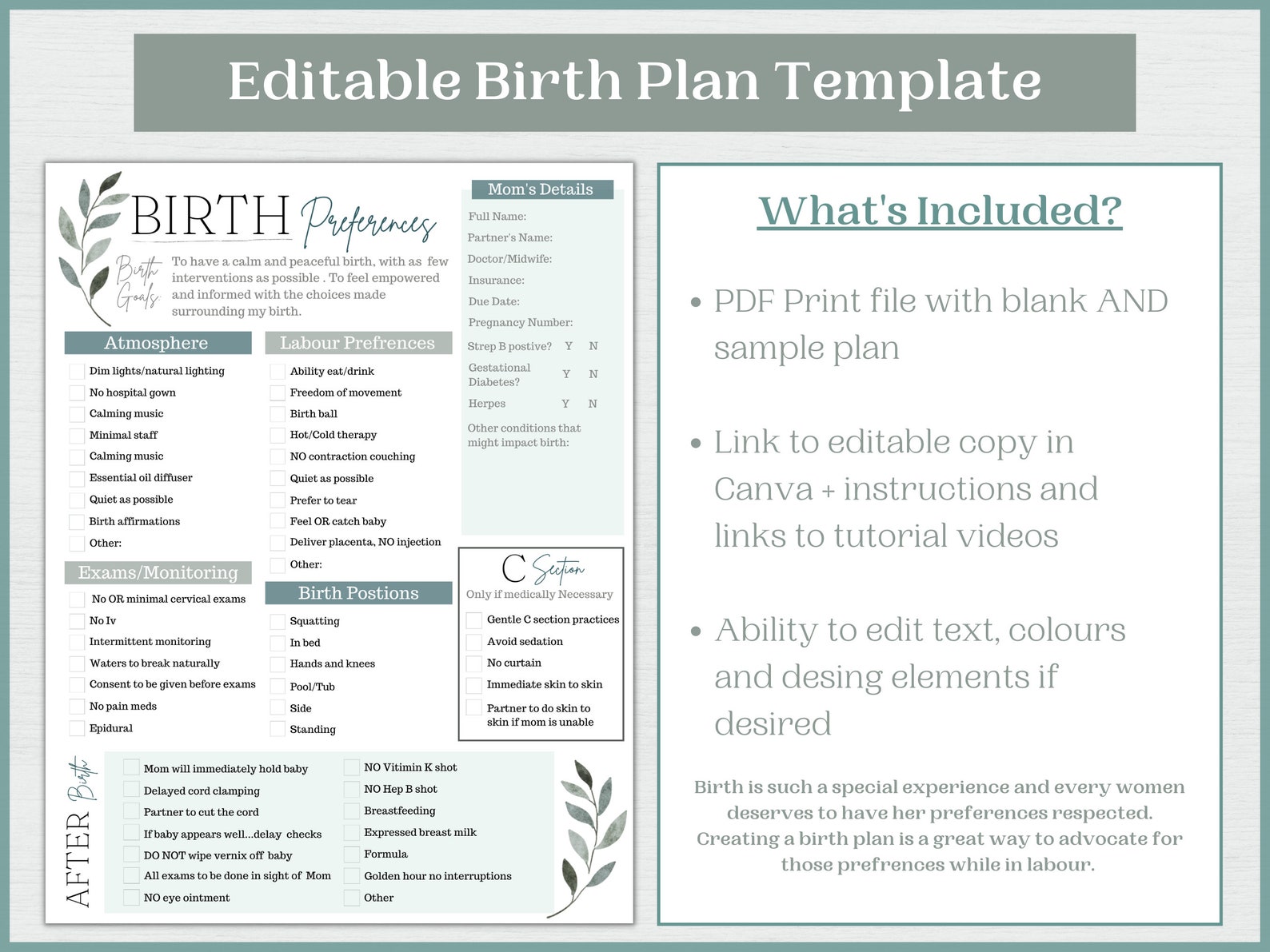 Editable Birth Plan Template |printable Birth Plan and Checklist - Etsy