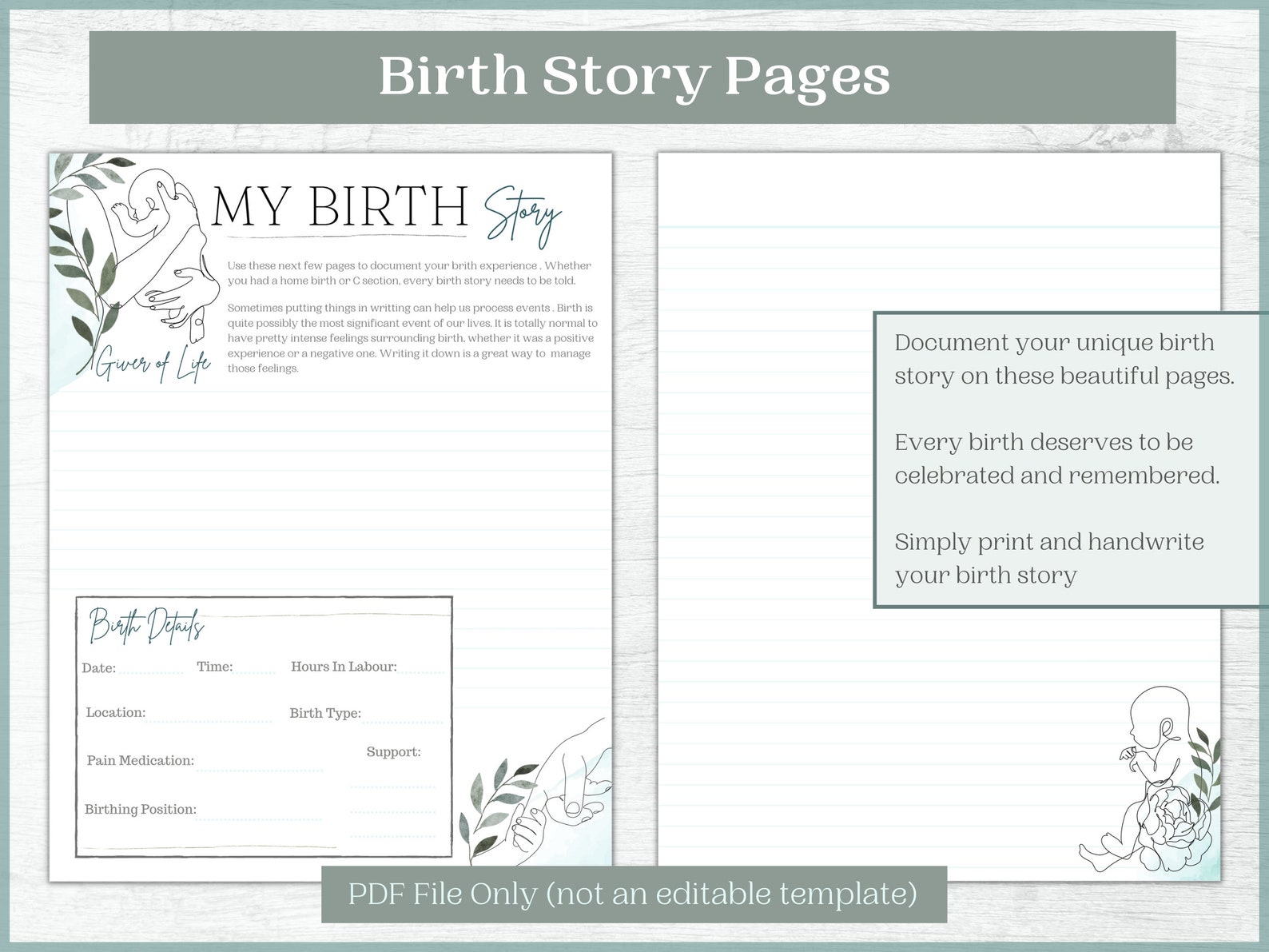 Mini Birth Plan Bundle Editable Birth Plan Hospital Bag - Etsy