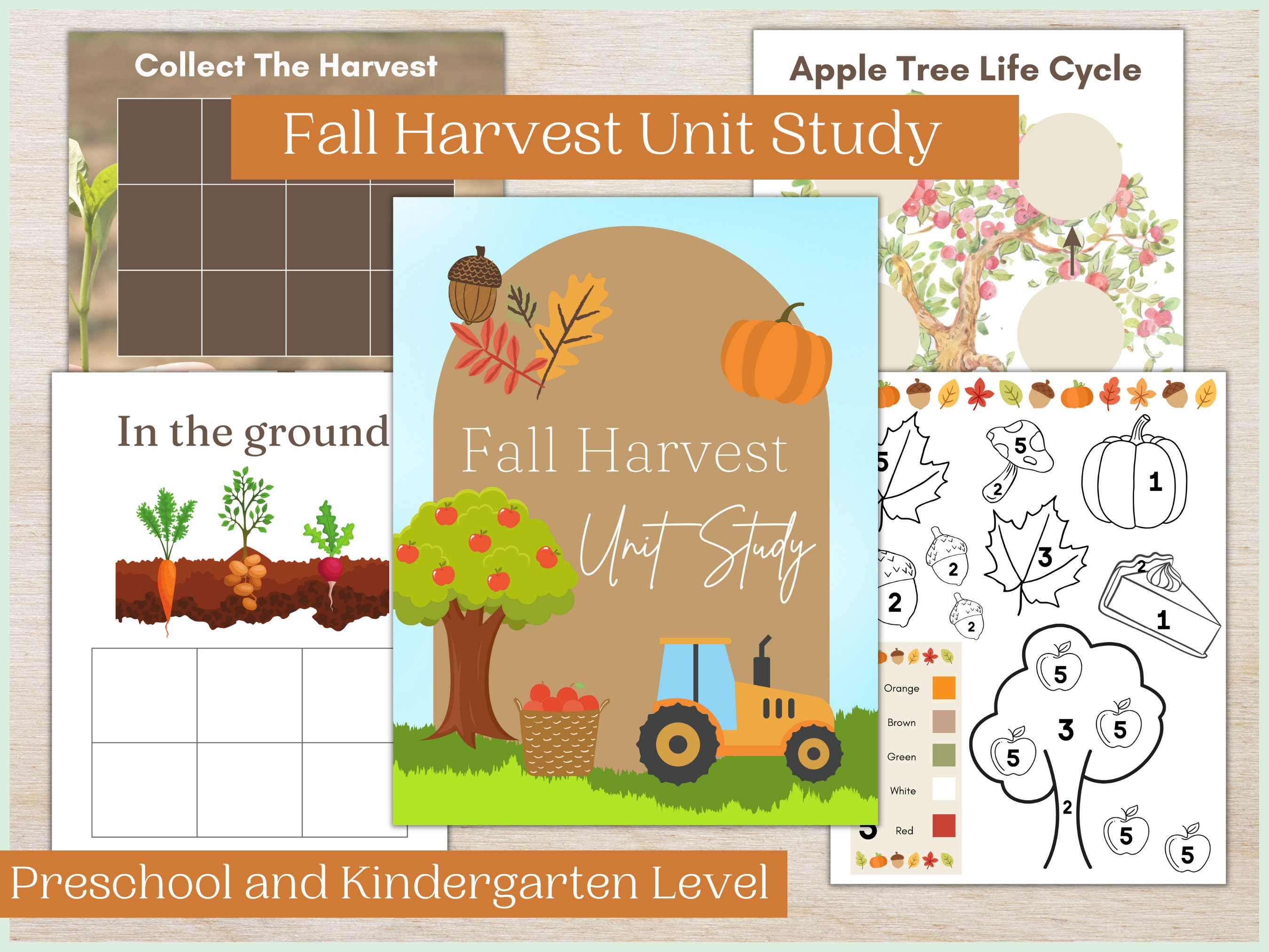 Preschool Fall Harvest Unit Study Bundle | Homeschool Preschool ...