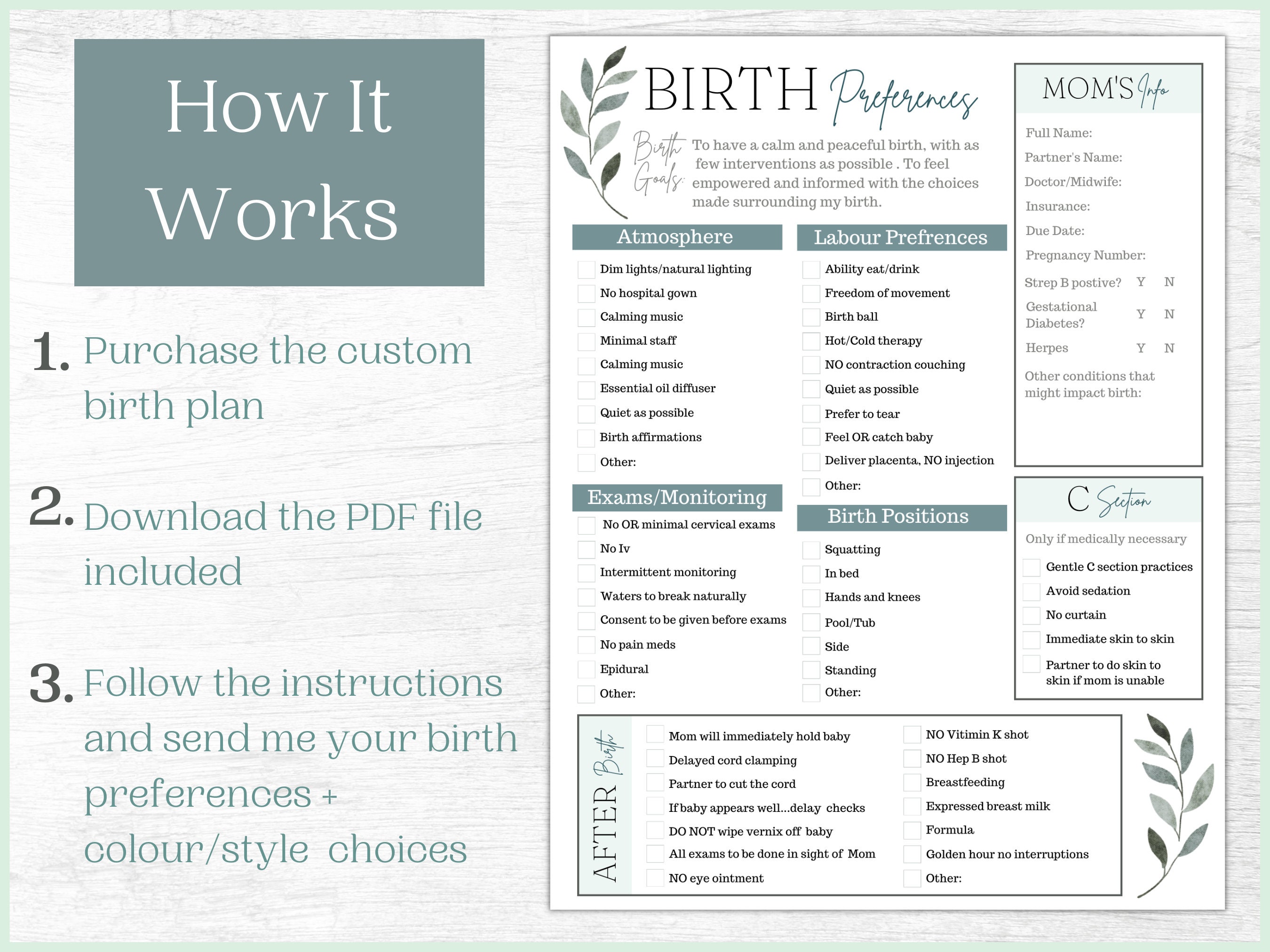 Custom Birth Plan Template - Etsy