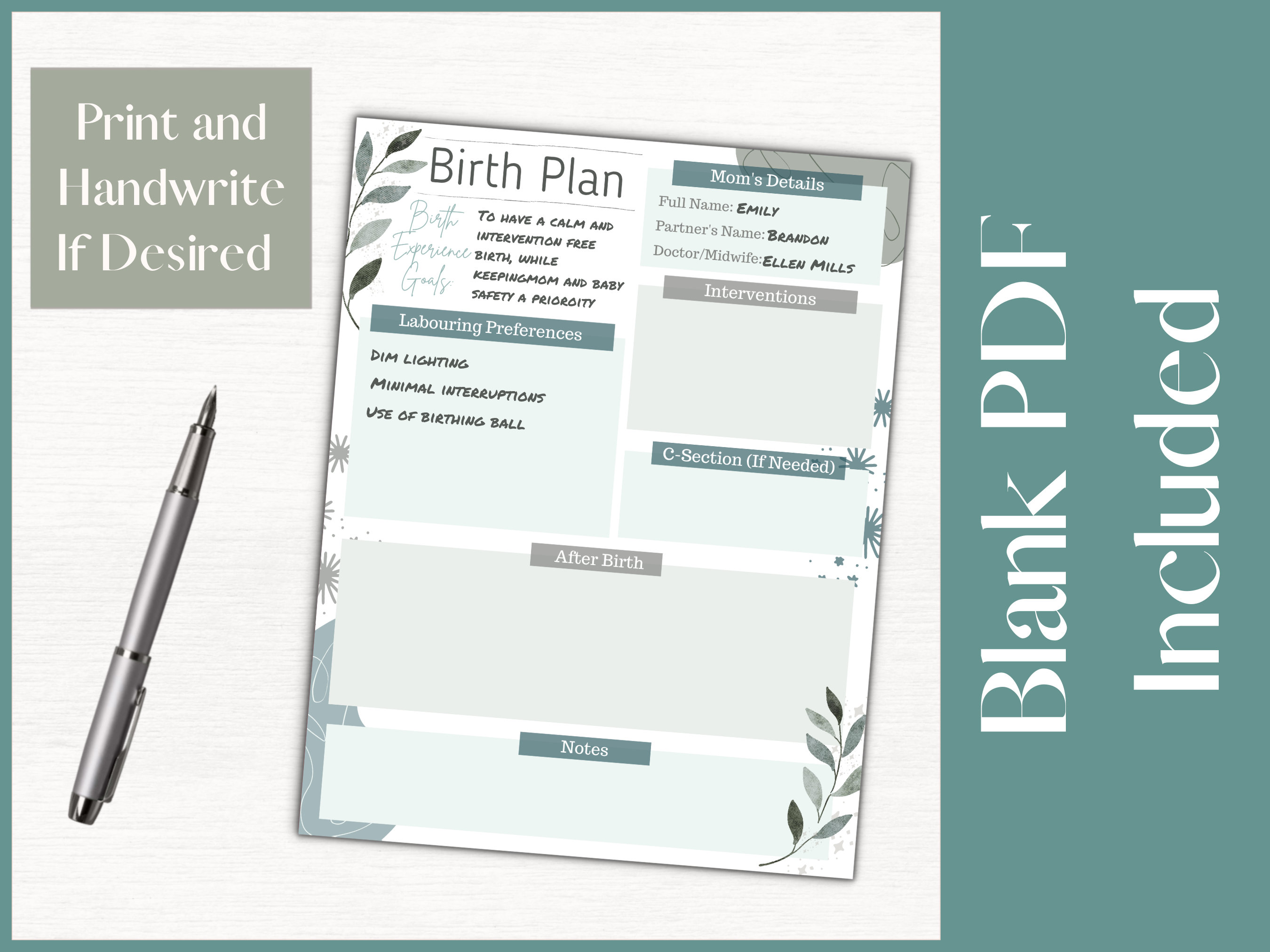 Free Birth Plan Templates Editable And Printable