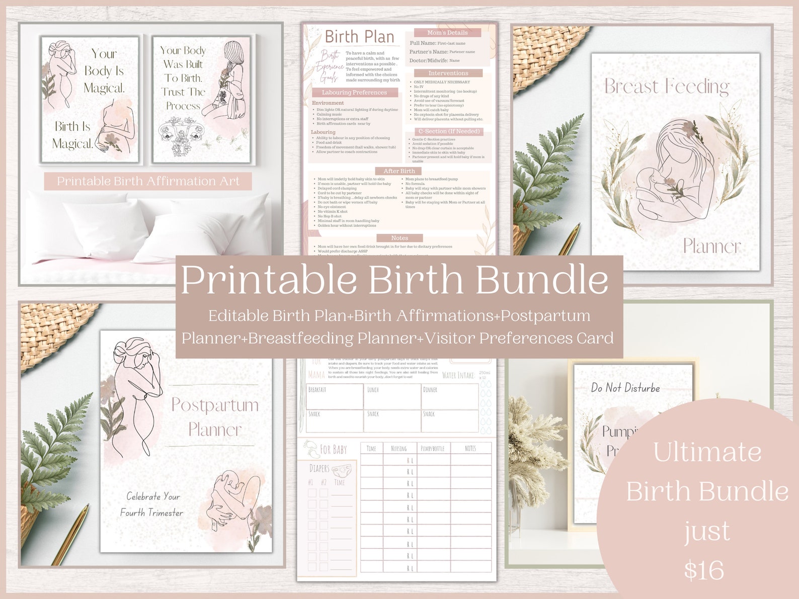 Editable Birth Plan Template Printable Birthing Plan - Etsy Canada