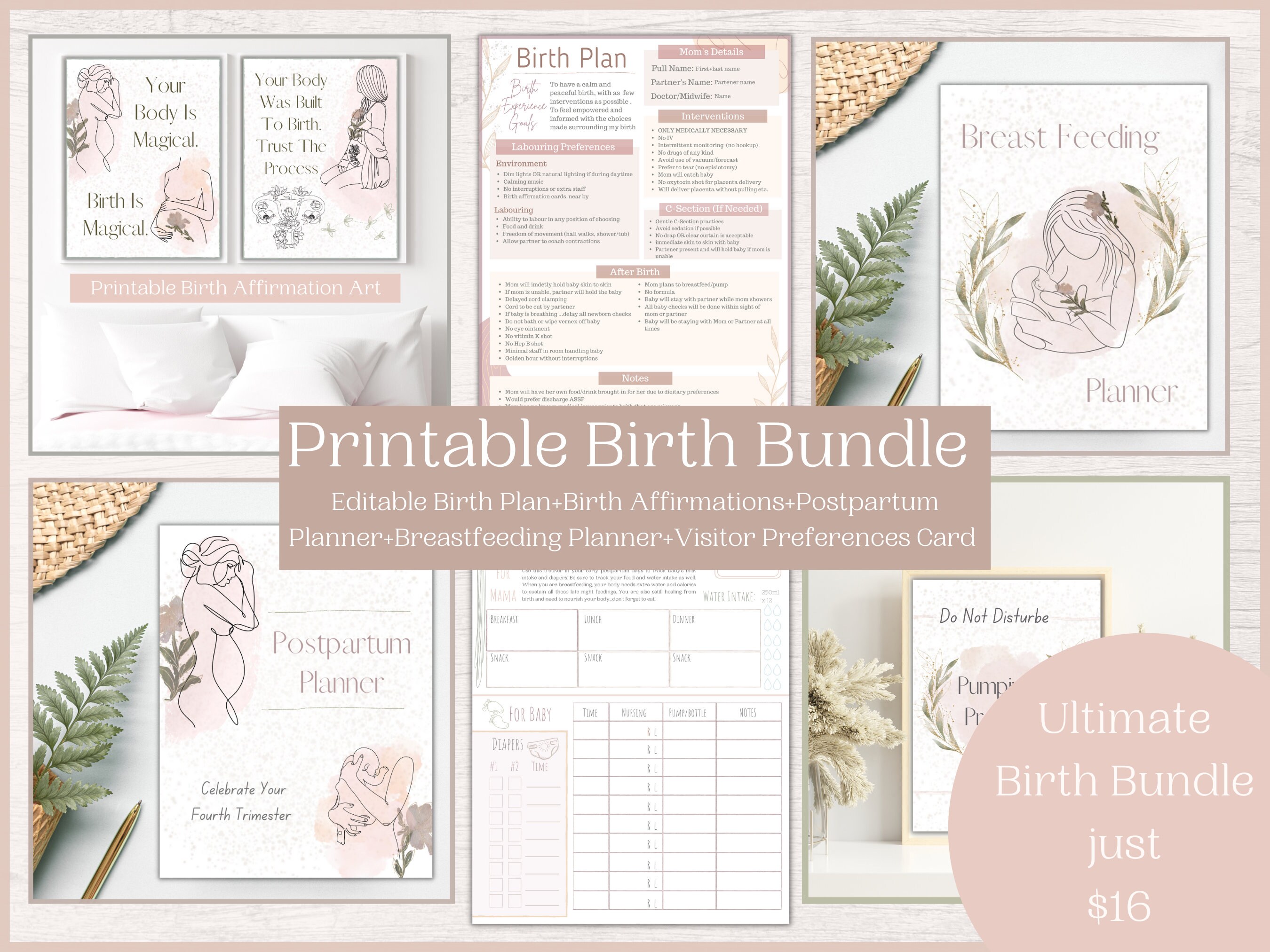 Editable Birth Plan Template Printable Birthing Plan - Etsy Canada