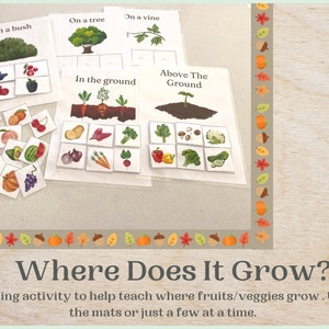 Preschool Fall Harvest Unit Study Bundle | Homeschool Preschool ...