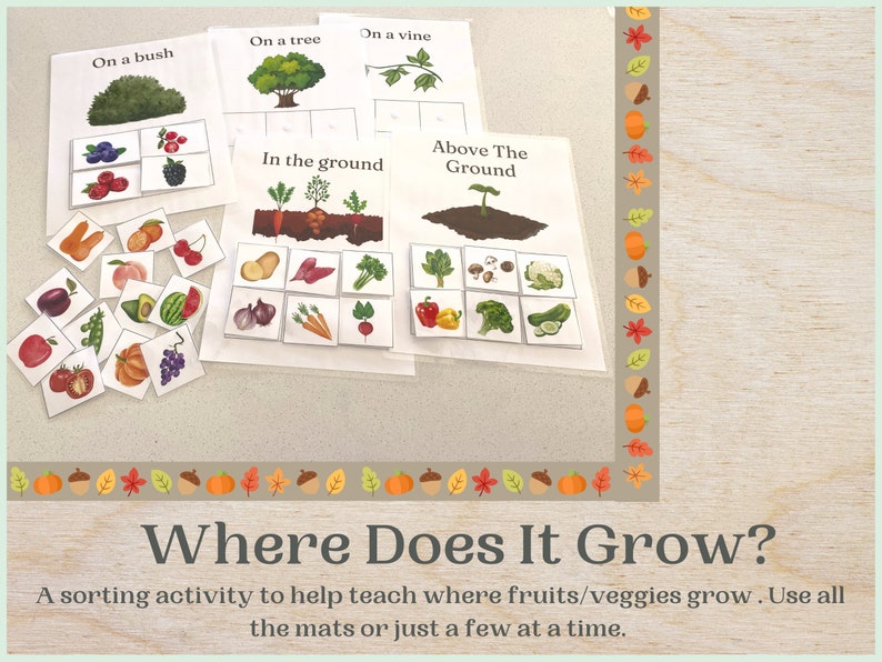 Preschool Fall Harvest Unit Study Bundle | Homeschool Preschool ...