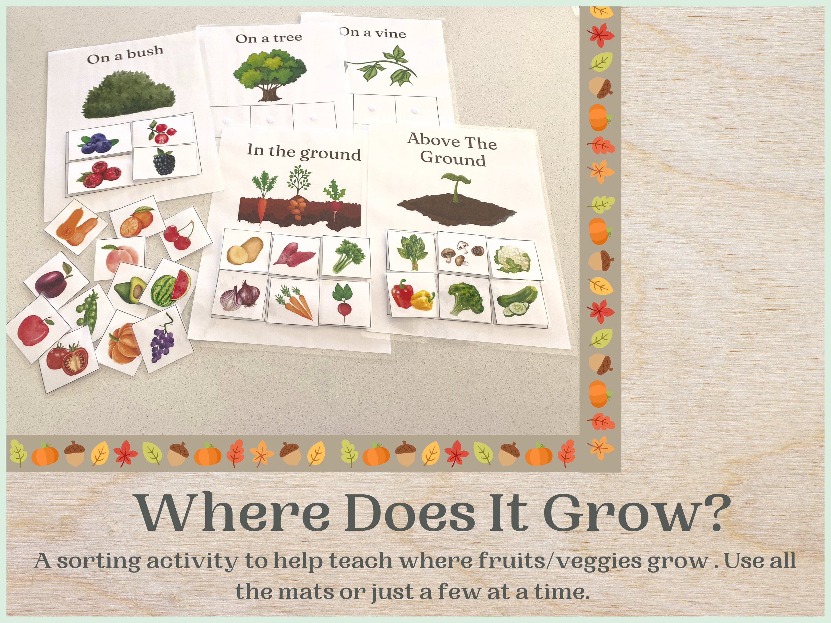 Preschool Fall Harvest Unit Study Bundle Homeschool - Etsy