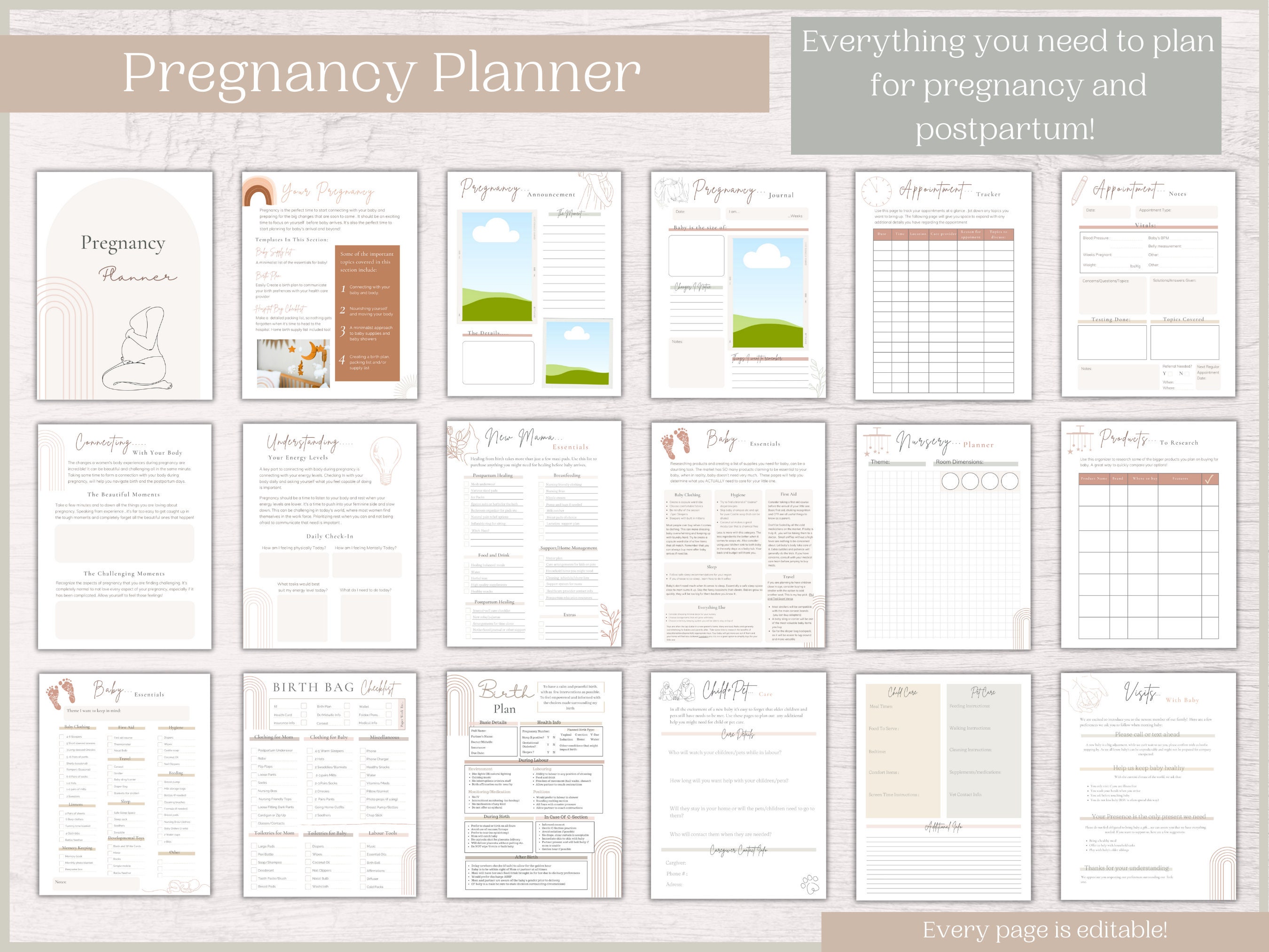 Birth Plan Template + Printable Pregnancy and Postpartum Planner ...