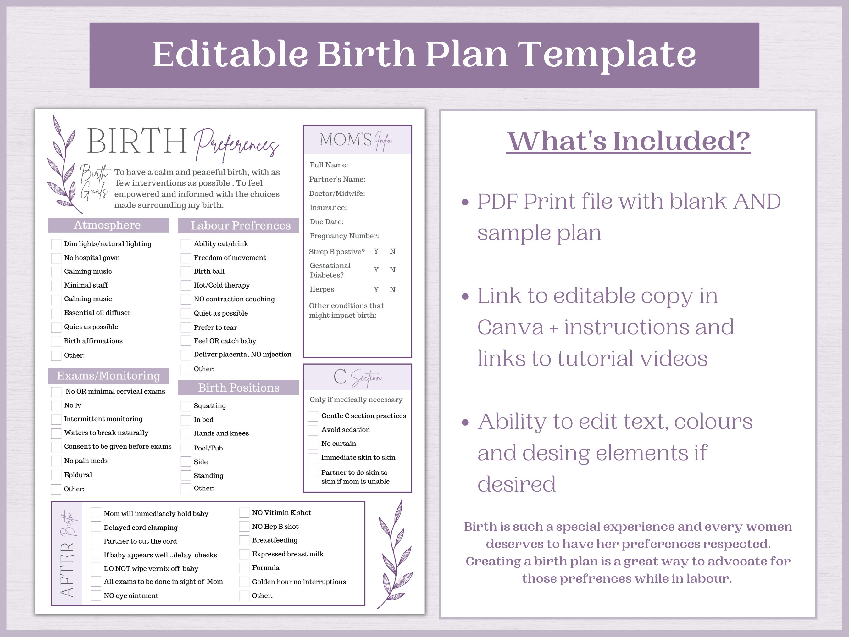 Editable Birth Plan Template |printable Birth Plan Checklist - Etsy