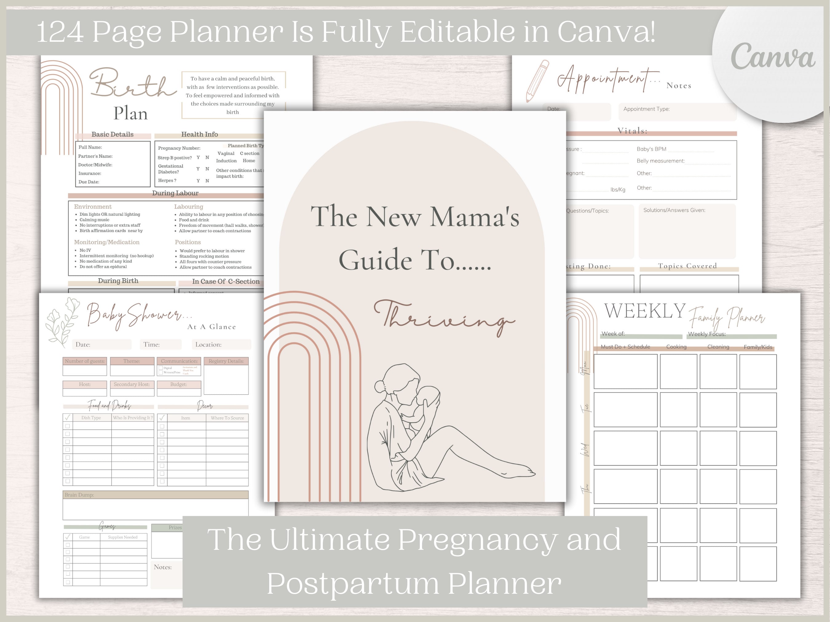 Birth Plan Template + Printable Pregnancy and Postpartum Planner ...