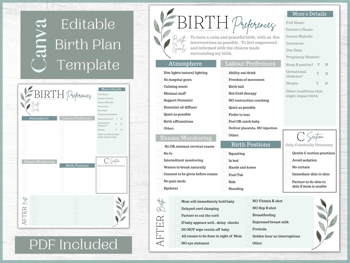 Editable Birth Plan Template |printable Birth Plan and Checklist - Etsy