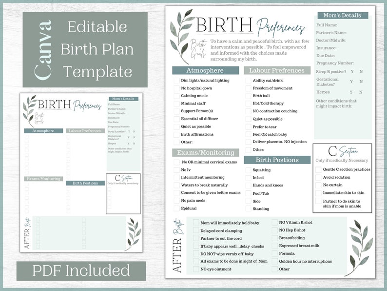 Editable Birth Plan Template |printable Birth Plan and Checklist - Etsy