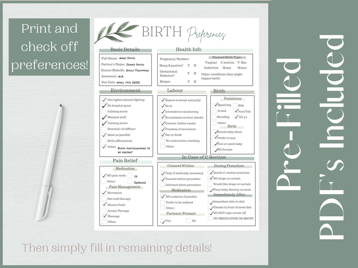 Printable and Editable Birth Plan Template Neutral Colours Birth Plan ...