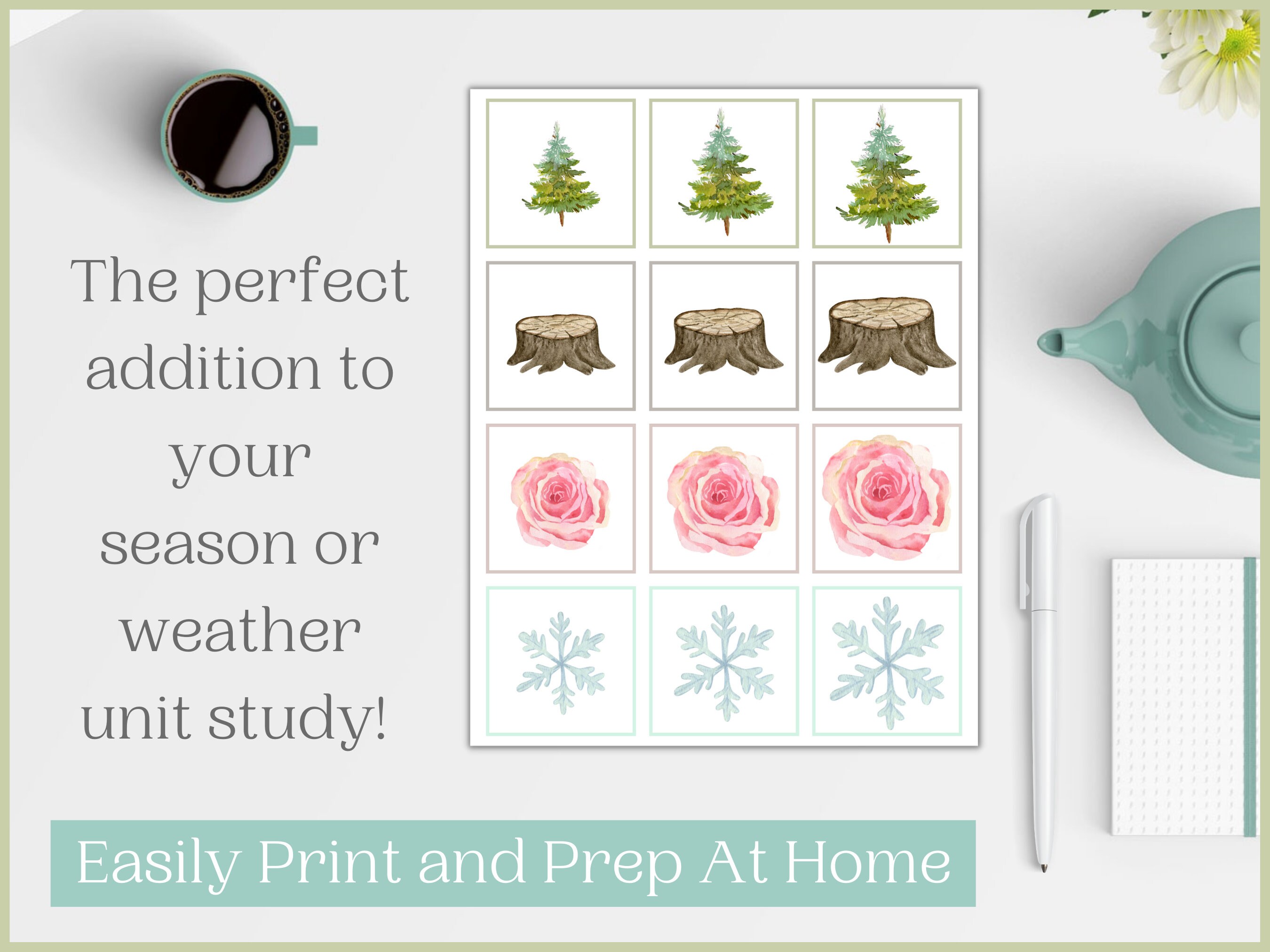 Montessori Size Recognition Cards Nature Themed Size Sorting Cards ...