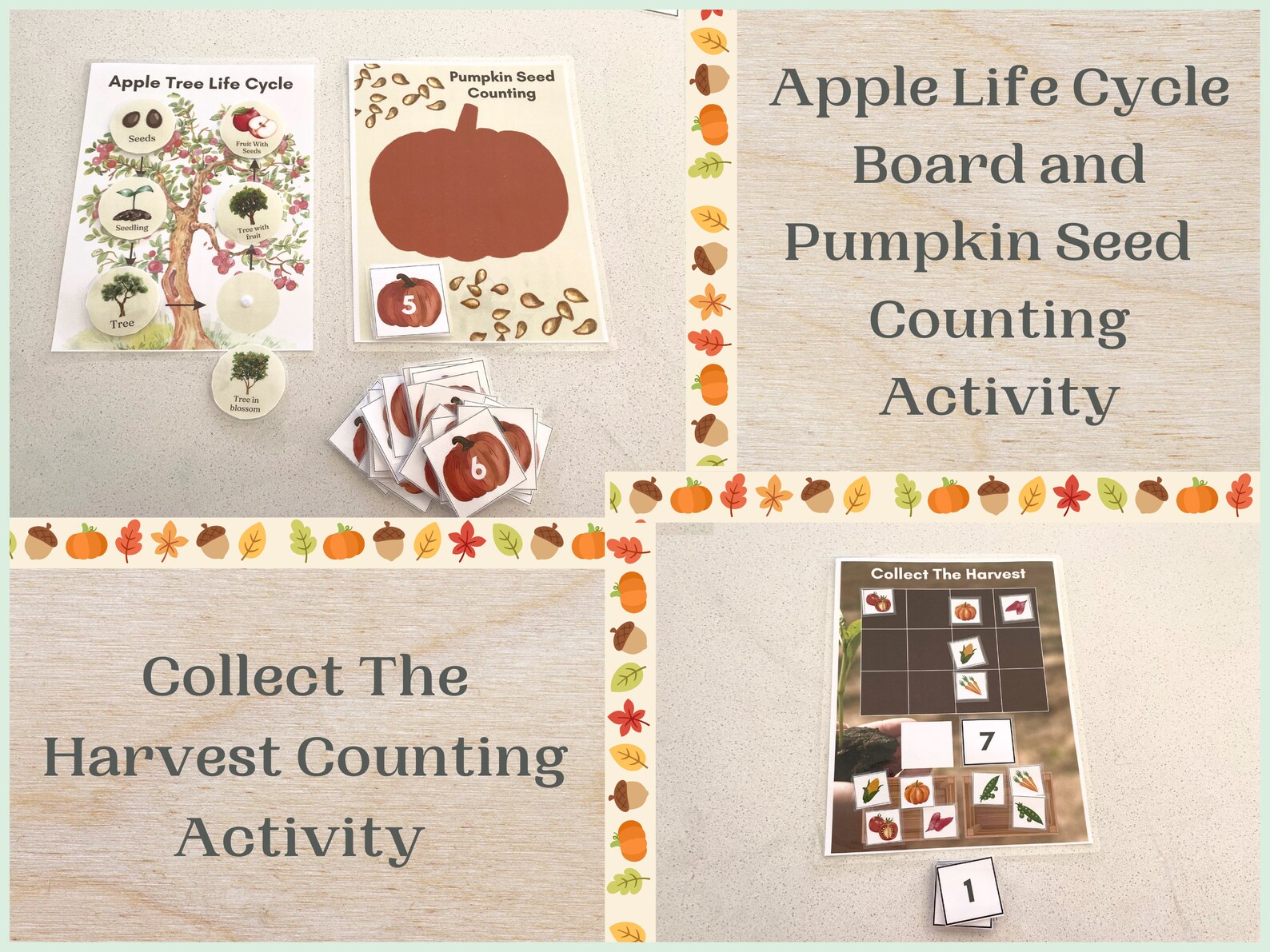 Preschool Fall Harvest Unit Study Bundle | Homeschool Preschool ...
