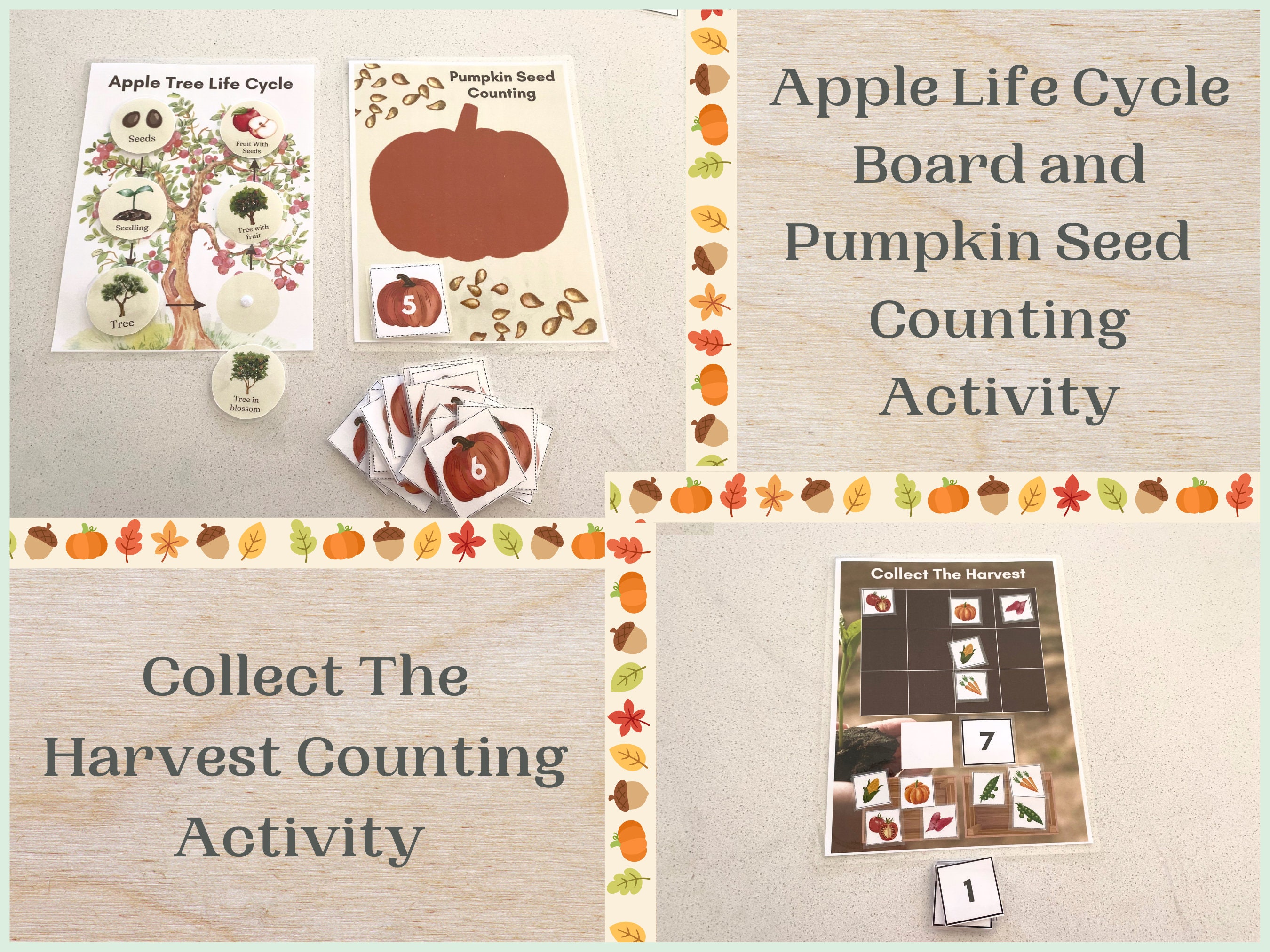 Preschool Fall Harvest Unit Study Bundle | Homeschool Preschool ...