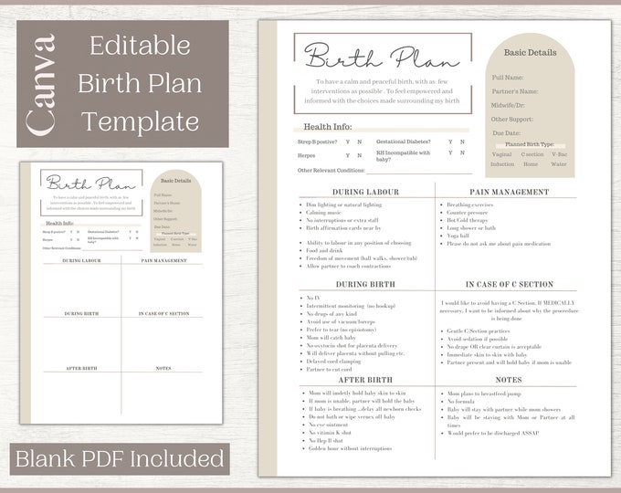 Editable Birth Plan Template |printable Birth Plan Checklist - Etsy Canada