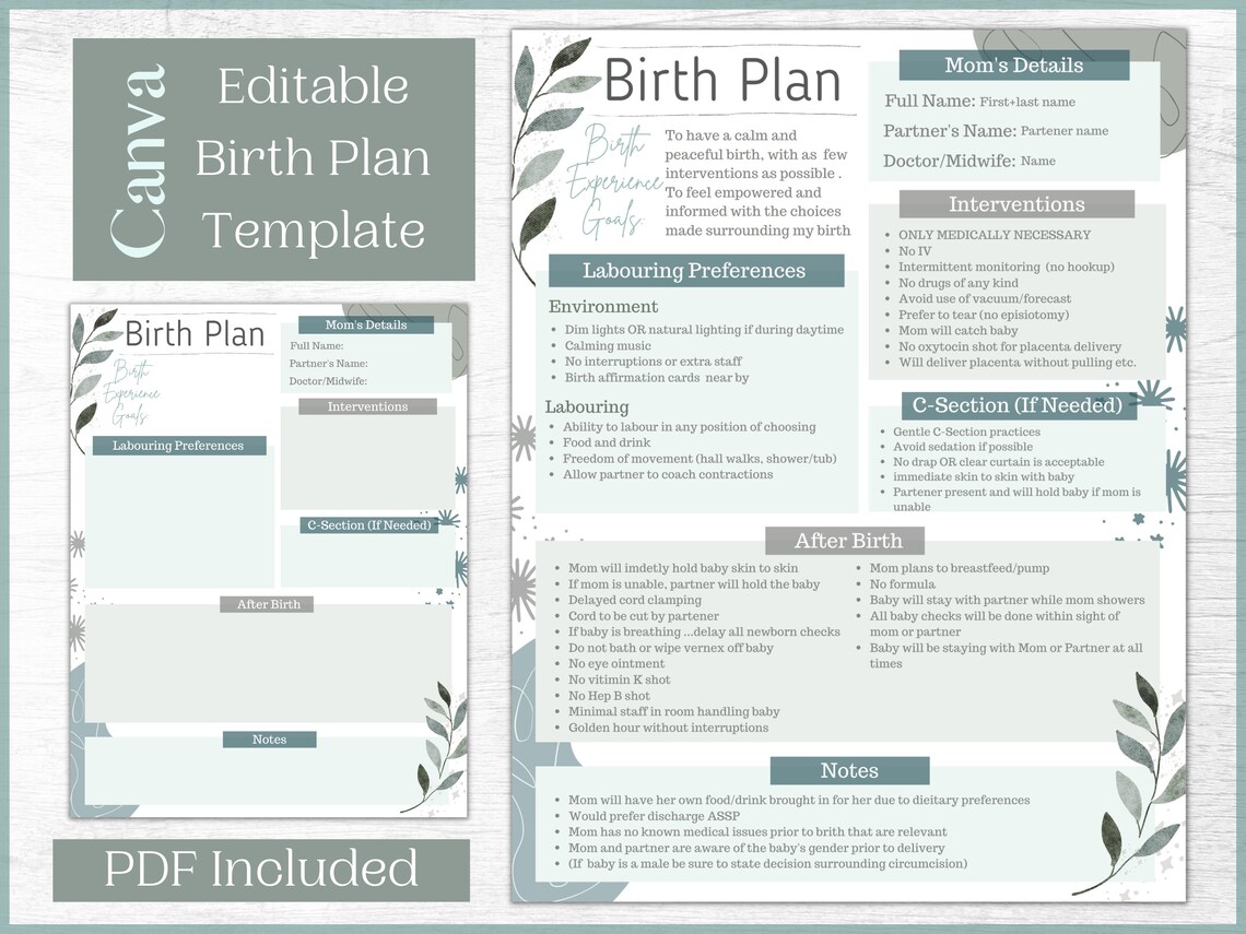 Editable Birth Plan Template Printable Birthing Plan | Etsy UK