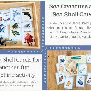 Printable Ocean Unit Study | Ocean Dramatic Play Kit | Homeschool ...