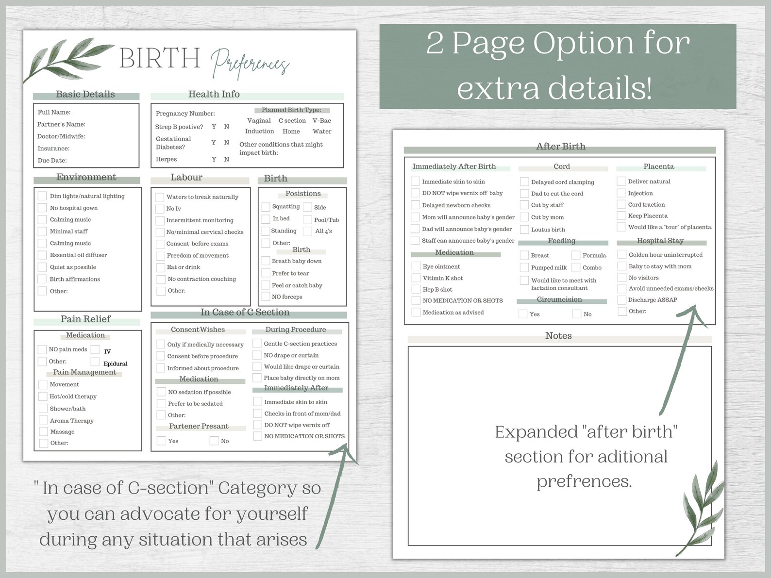Printable and Editable Birth Plan Template | Neutral Colours Birth Plan ...