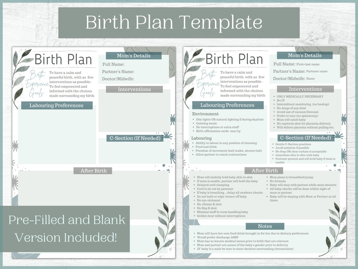 Mini Birth Plan Bundle Editable Birth Plan Hospital Bag - Etsy