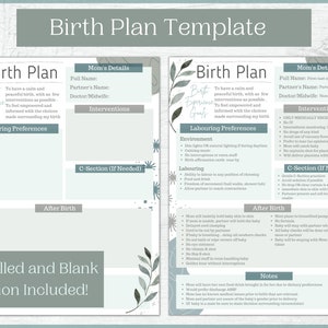 Mini Birth Plan Bundle Editable Birth Plan Hospital Bag - Etsy
