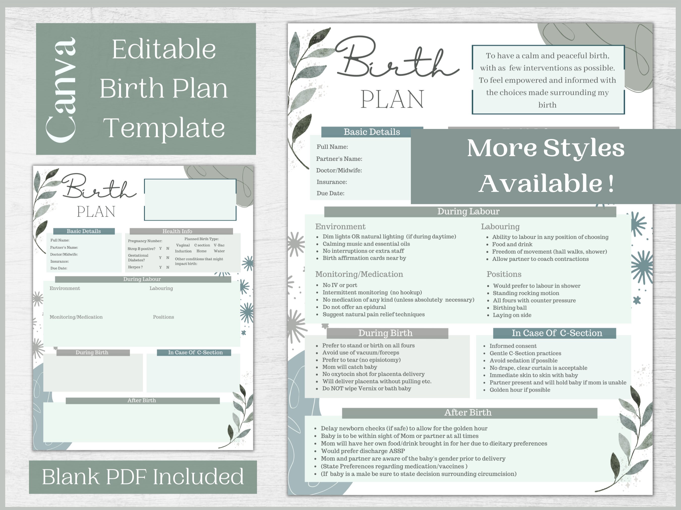 Editable Birth Plan Template | Printable Birthing Plan | Labour and ...